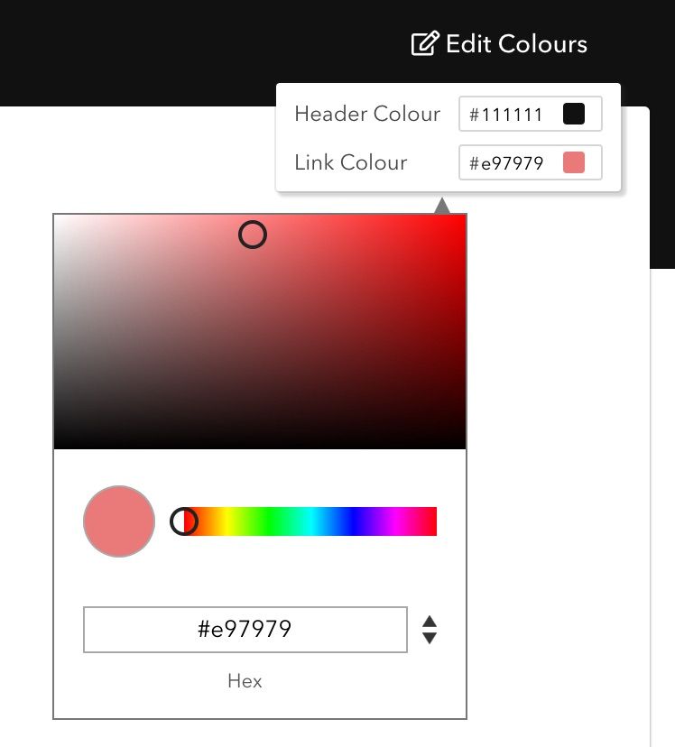 Customising Visuals - DeveloperHub.io