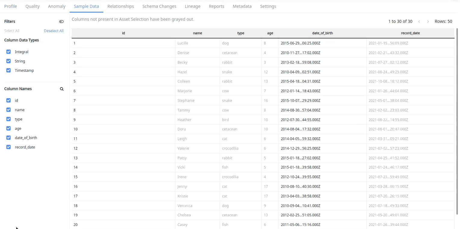Asset Details Sample Data Tab - Torch
