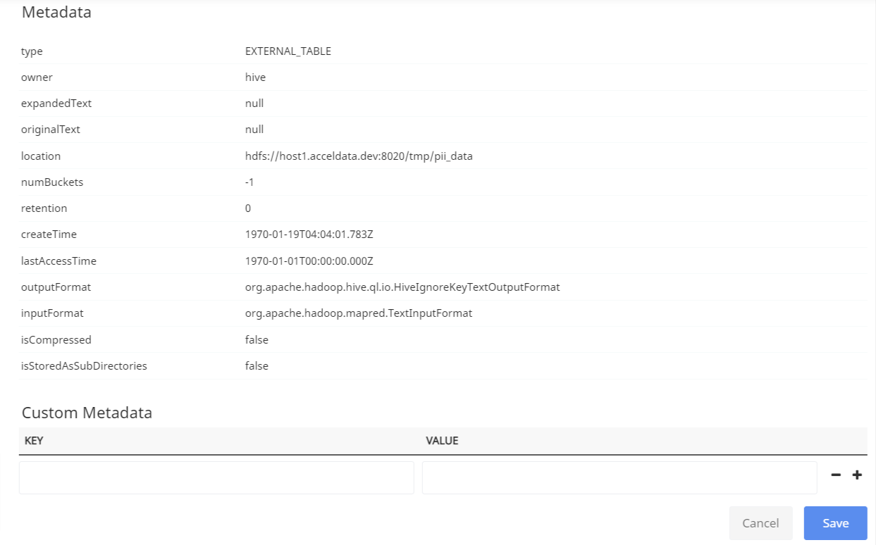 Asset Details Metadata Tab - Torch